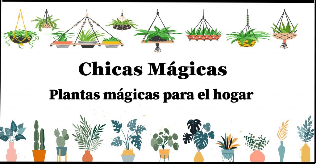 5 plantas mágica para tu hogar - Chicas Magicas